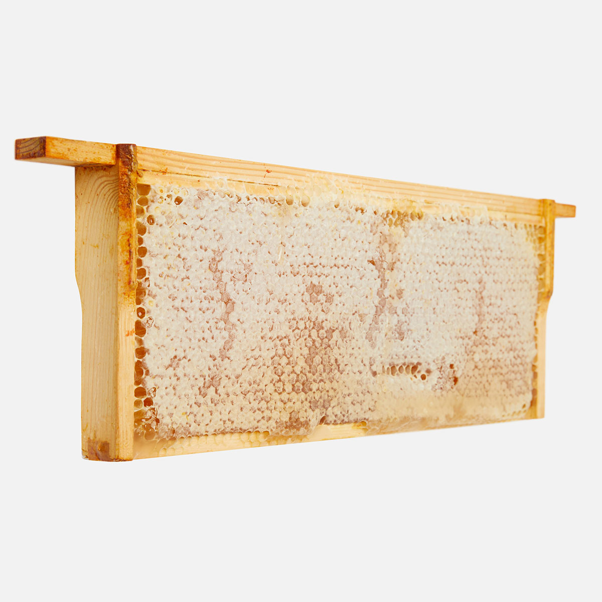 English Wildflower Honeycomb, BIG Whole Frame